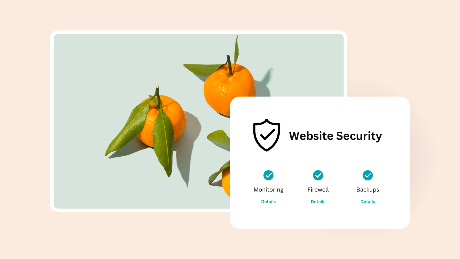 Website Security – Rainwork Media